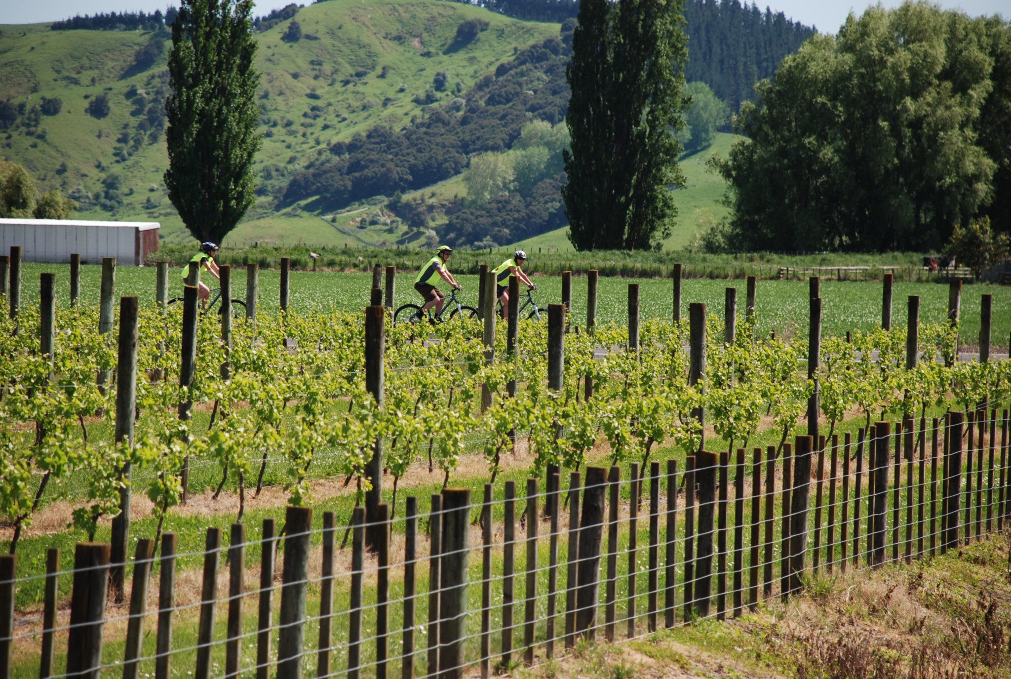 Day Tours - Experience Gisborne